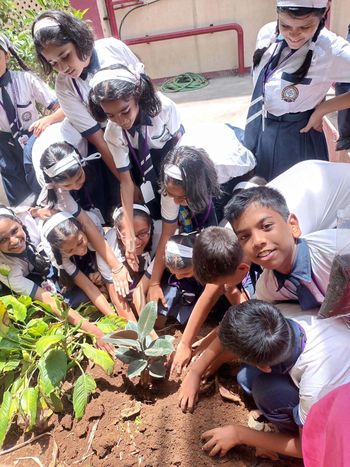 TREE PLANTATION DAY- SECONDARY – CJM International