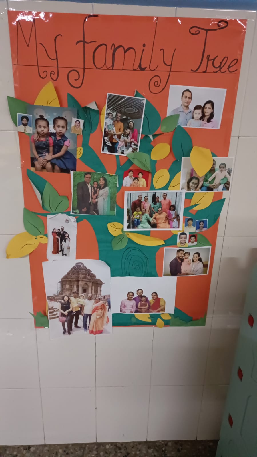 FAMILY TREE – NURSERY – CJM International